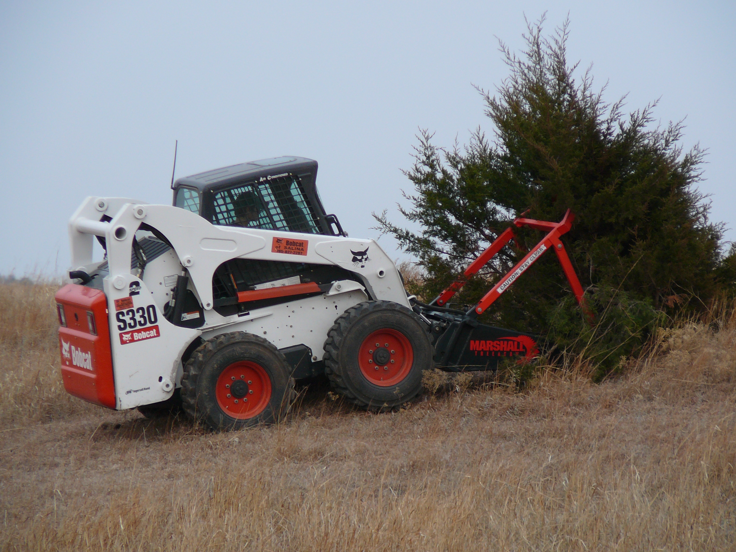 Bobcat 004 | Boyd Farms